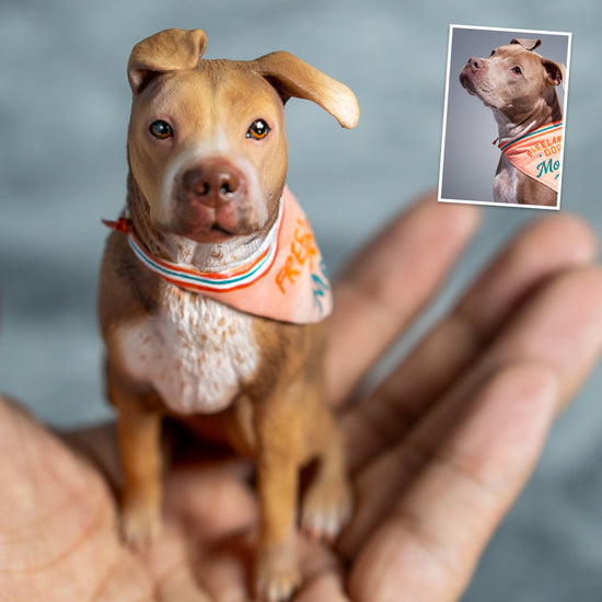 Custom Pet Figurine – CuteBuddi