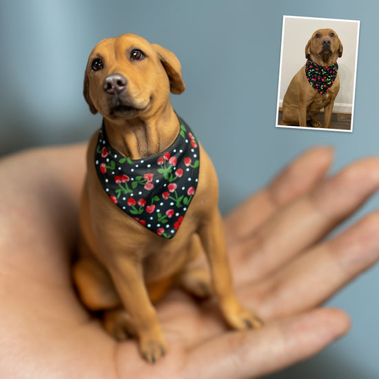 Custom Pet Figurine – CuteBuddi