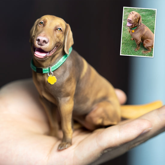 Custom Pet Figurine – CuteBuddi