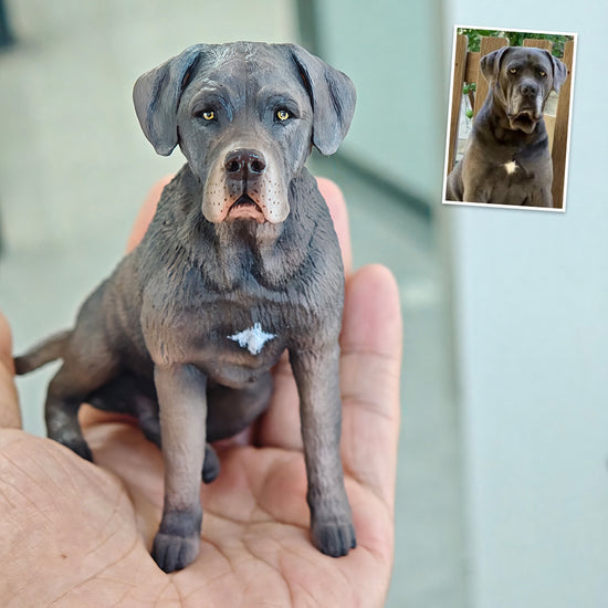 Custom Pet Figurine – CuteBuddi