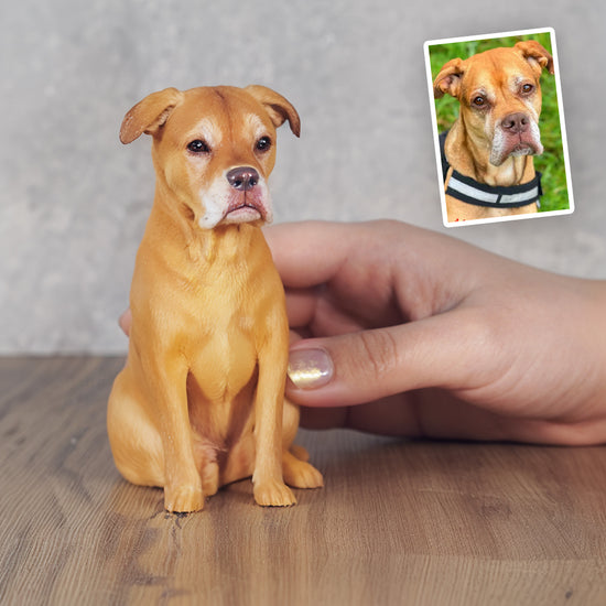 Custom Pet Figurine – CuteBuddi