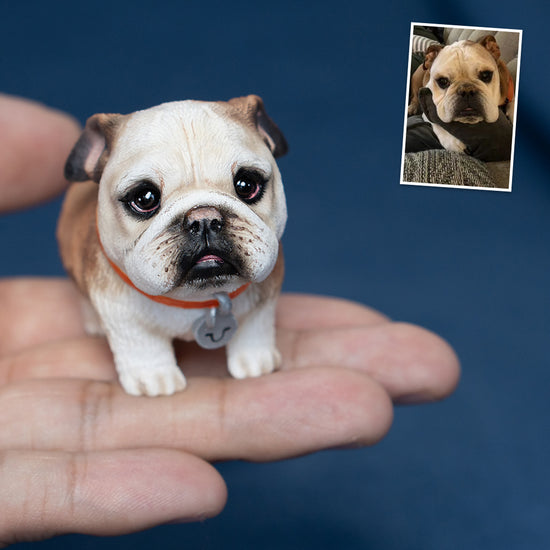 Custom Pet Figurine – CuteBuddi